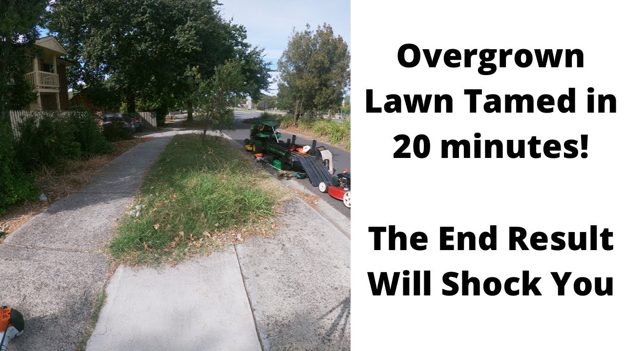 Overgrown Grass Gets Tamed! Satisfying Lawn Care - YouTube