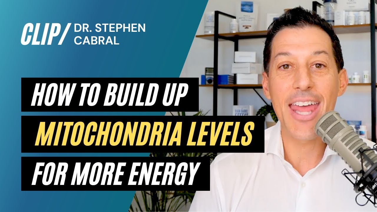 How To Build Up Mitochondria Levels For More Energy | Dr. Stephen ...