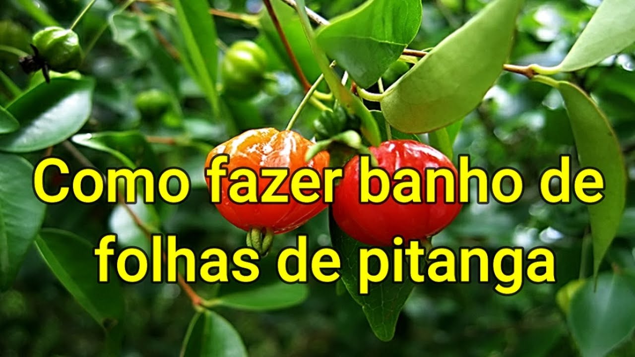 Como fazer banho de folhas de pitanga - YouTube