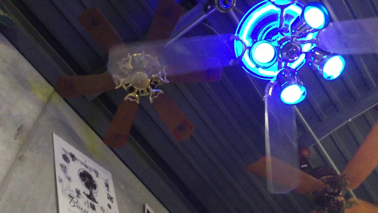 Homestead Budweiser ceiling Fan At Fanimation - YouTube
