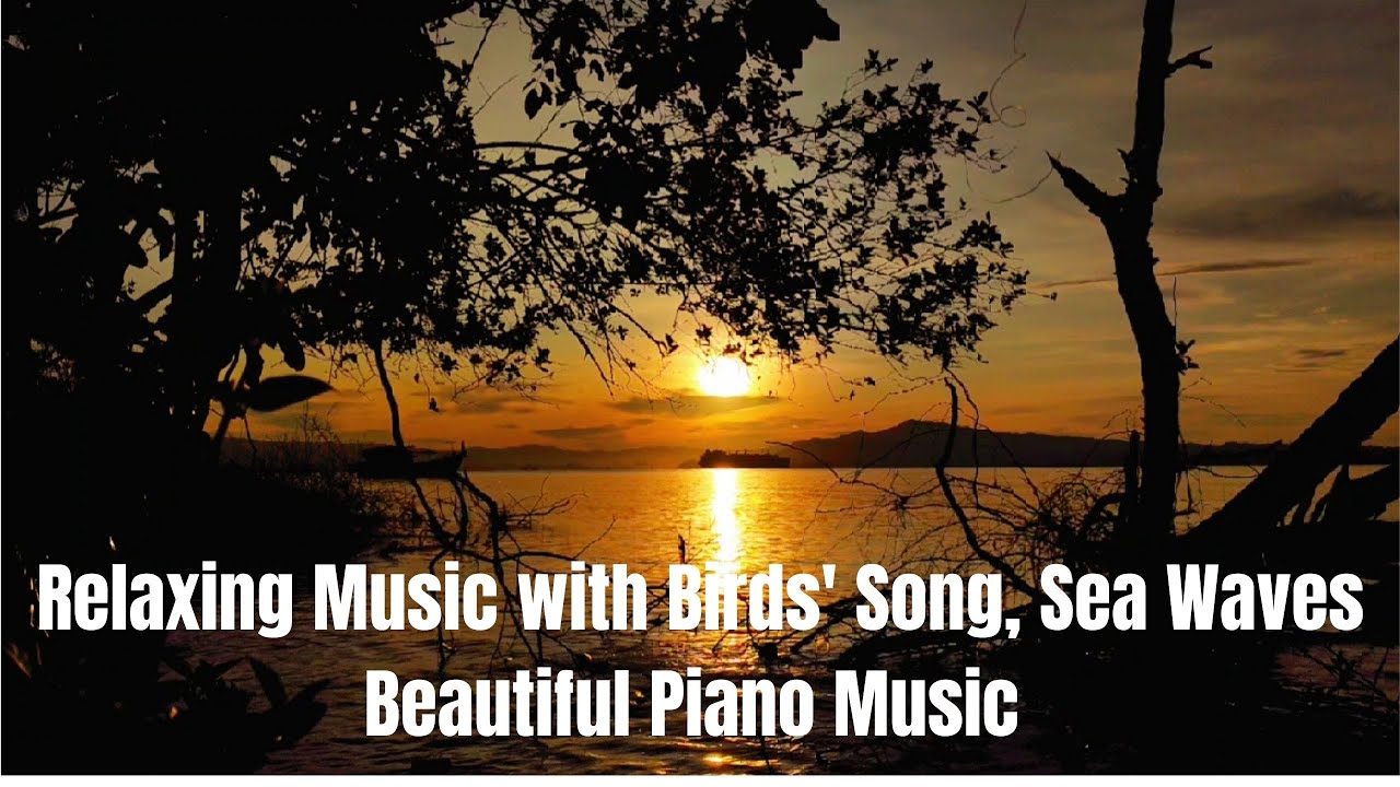 Relaxing Music with Birds' Song, Sea Waves || Beautiful Piano Music ...