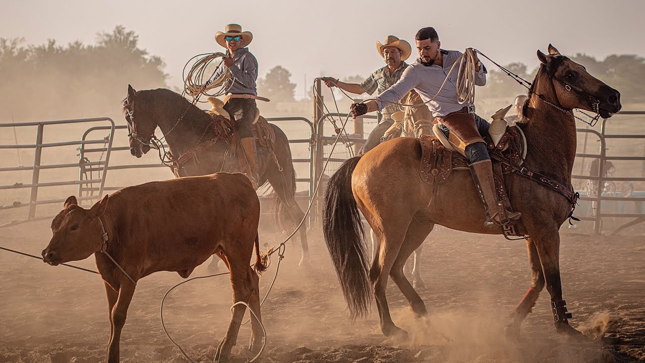 FELIZ 4 DE JULIO !!! *lazando toros, montando toros y mas* - YouTube