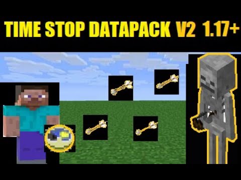 Time Stop Datapack 1.17+