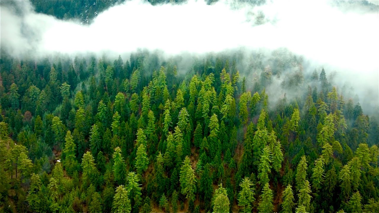 Manali's Breathtaking Beauty: Google Maps V/S Drone Dreamscapes [4K ...