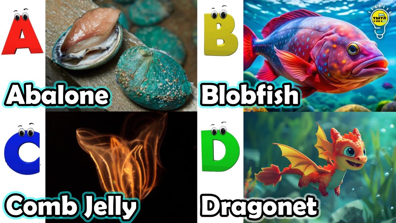 Learn Ocean Animal Names | ABC Sea Animals song | Most Popular Sea ...