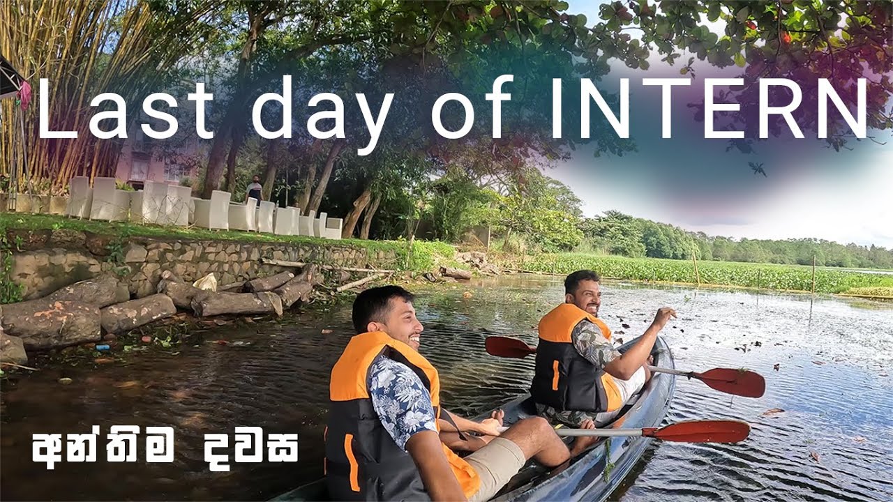 LAST DAY of intern in SimCentric | office party 🤩🛶 | farewell - YouTube