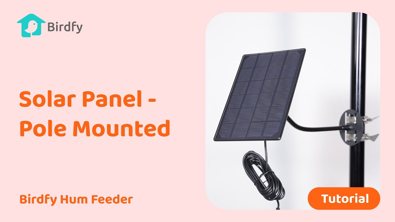 How to Install the Solar Panel on a Pole - Birdfy Hum Feeder Duo ...