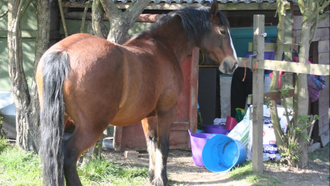 Amazing Grace - Bob McKinlay - YouTube