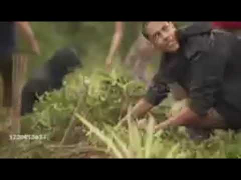 Earth Day… ROBYNNE’S WORLD