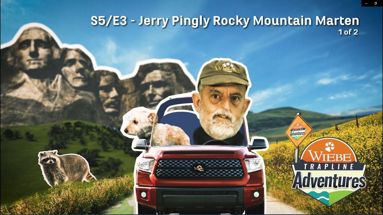 Wiebe Trapline Adventures Season 5 Jerry Pingly Rocky Mtn Marten 1 of 2 ...