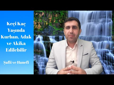 Keçi Kaç Yaşında Kurban, Adak ve Akika Edilebilir (Şafiiler, Hanefiler)