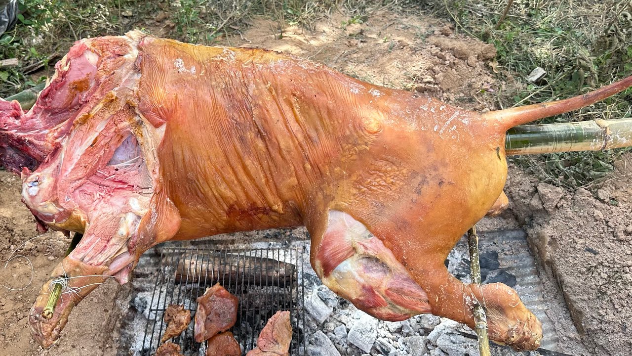 survival in the rainforest cooking COW - YouTube