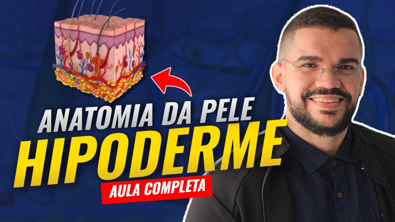 Anatomia da Pele HIPODERME - Funções, Estruturas e Composição | AULA 03 ...
