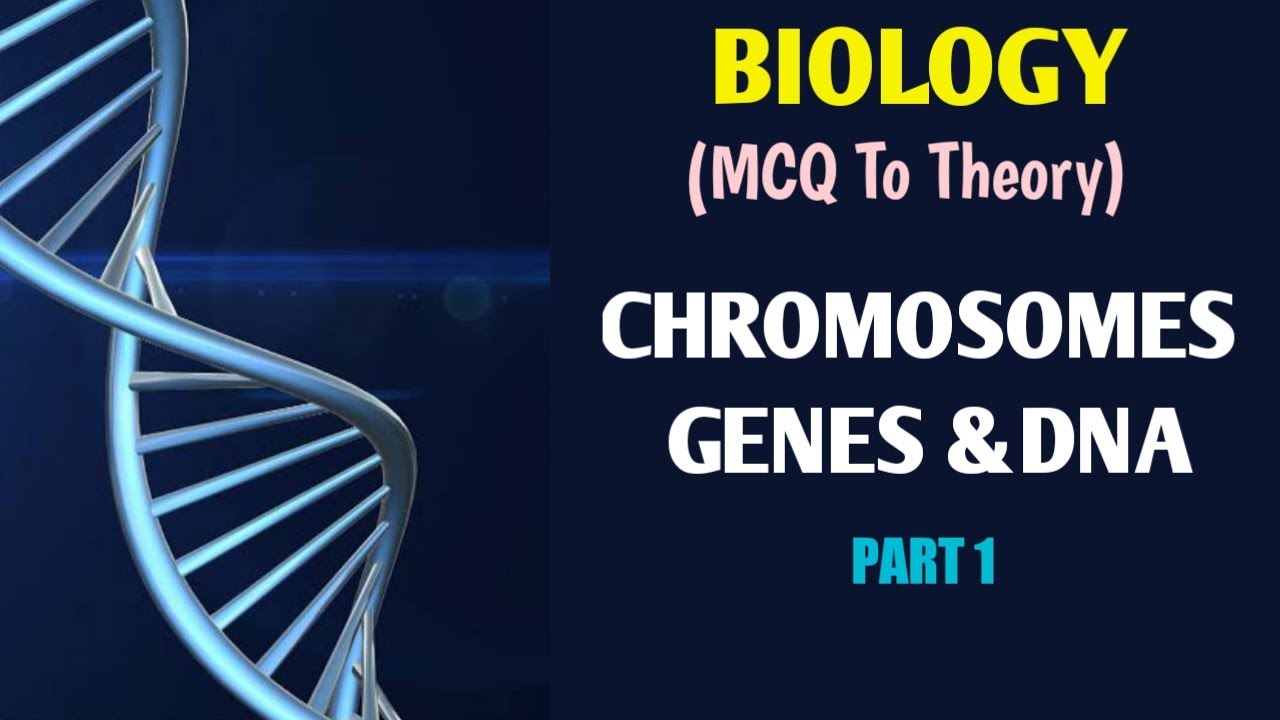 Genetics Basics - Introduction | Chromosomes, Genes, DNA | Part 1 | An ...