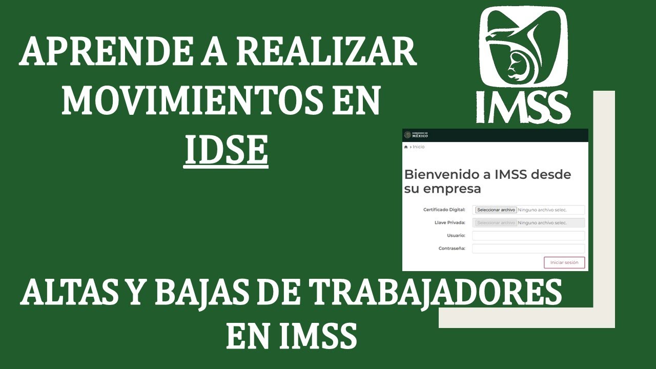 MOVIMIENTOS AFILIATORIOS EN EL IMSS Como Presentar Altas Y Bajas De