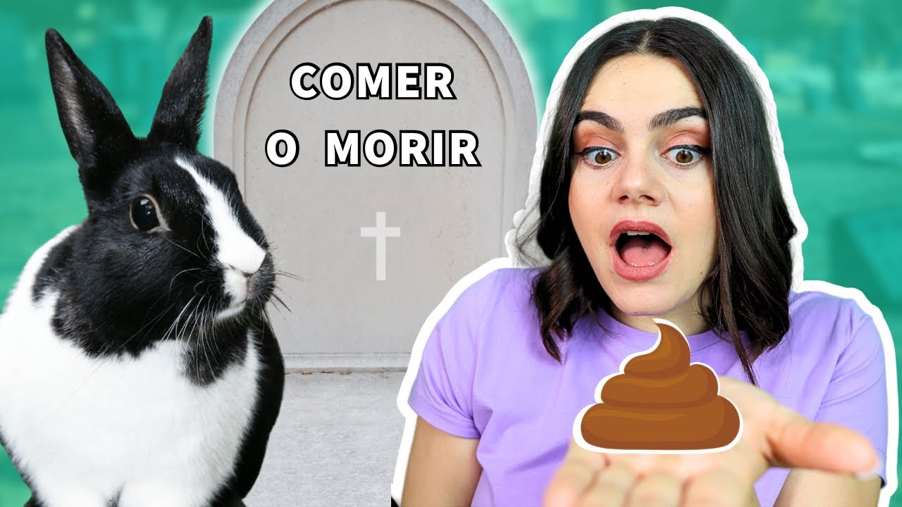 ¿Por qué algunos animales se comen su propia caca? - YouTube