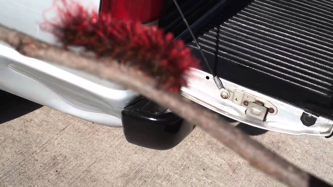 Jaslene C. Gonzalez exotic red worm - YouTube