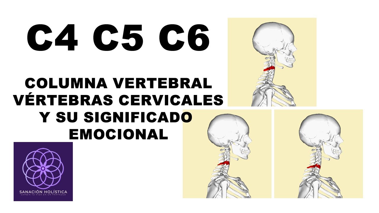 C4 | C5 | C6 - Vértebras cervicales y su significado emocional - YouTube