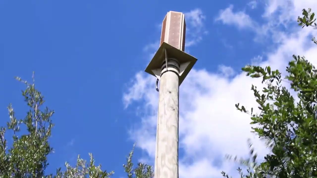 (EXTREMELY RARE) Sentry VR-10 walk-around tour | Jersey Village, TX ...