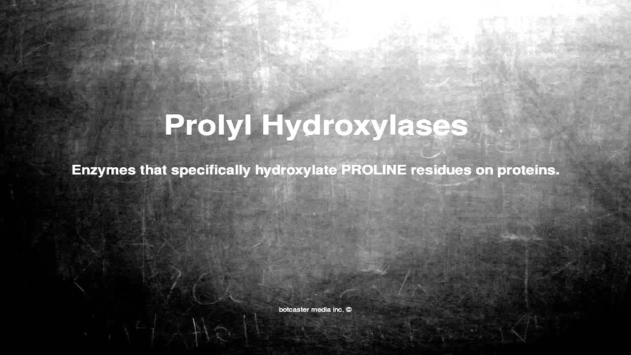 Medical vocabulary: What does Prolyl Hydroxylases mean - YouTube