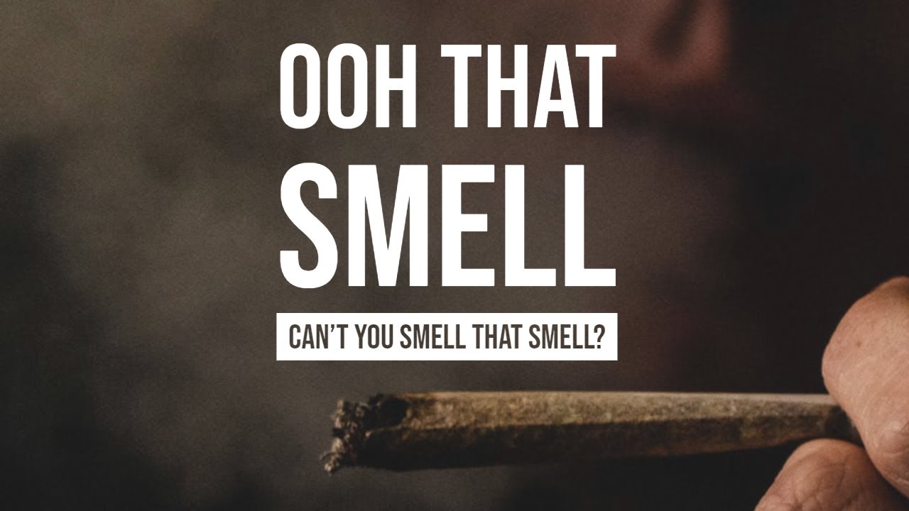 Ooh That Smell, Can t You Smell That Smell - YouTube