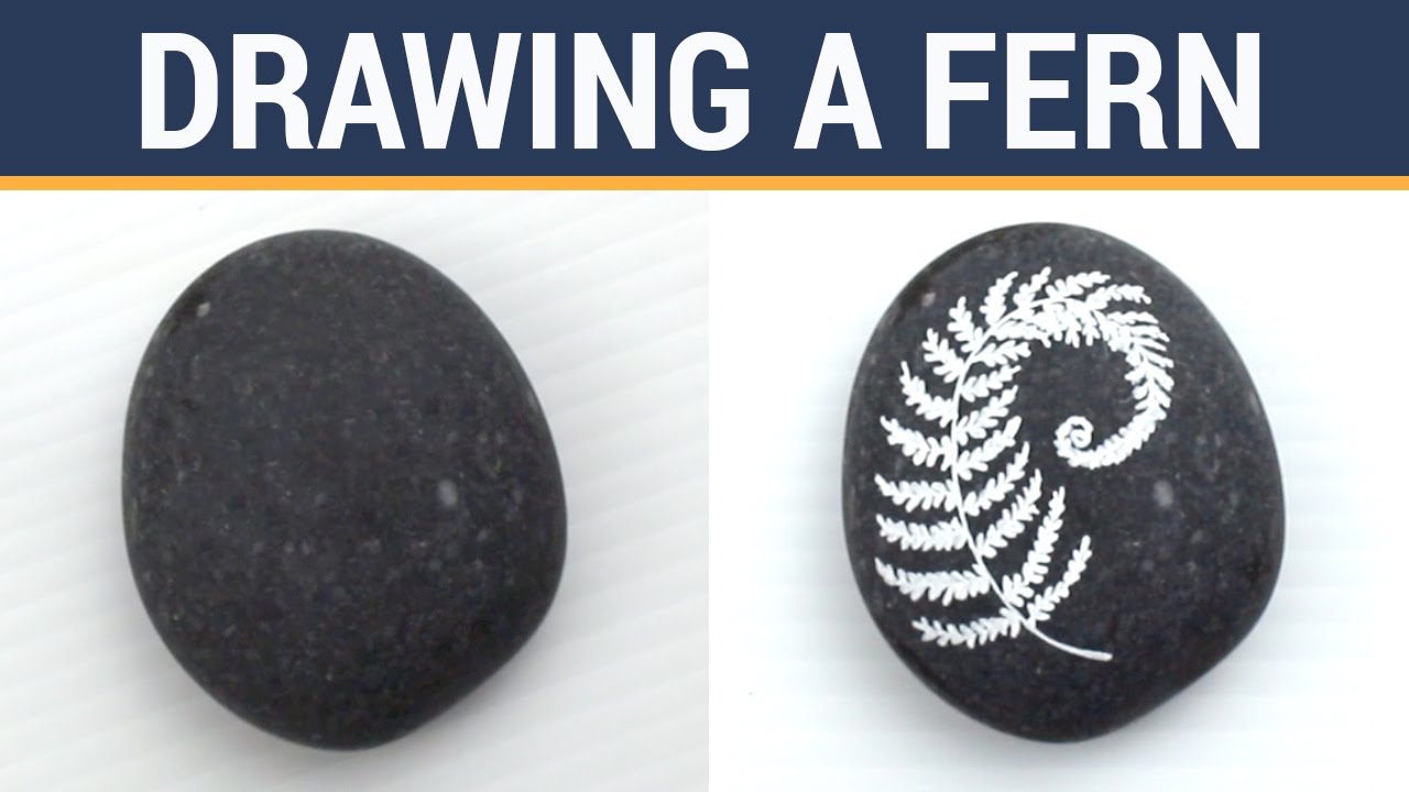 How to Draw A Fern On A Riverstone - YouTube
