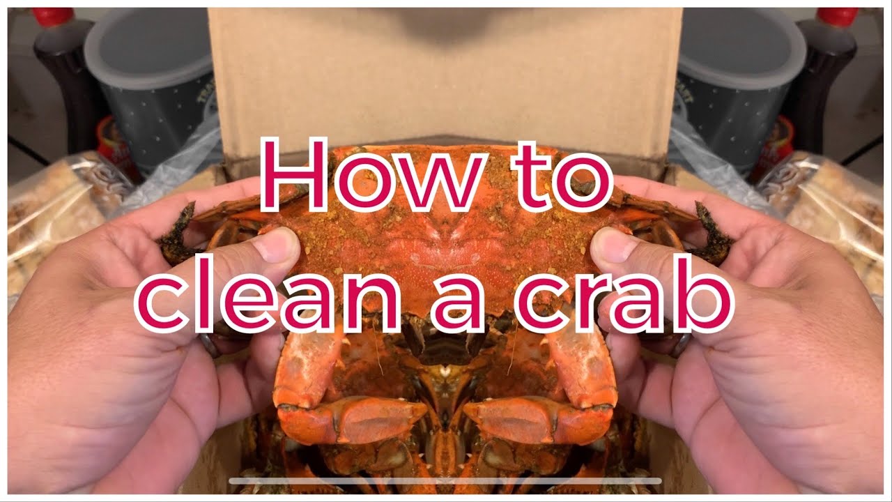 How to clean a crab - YouTube