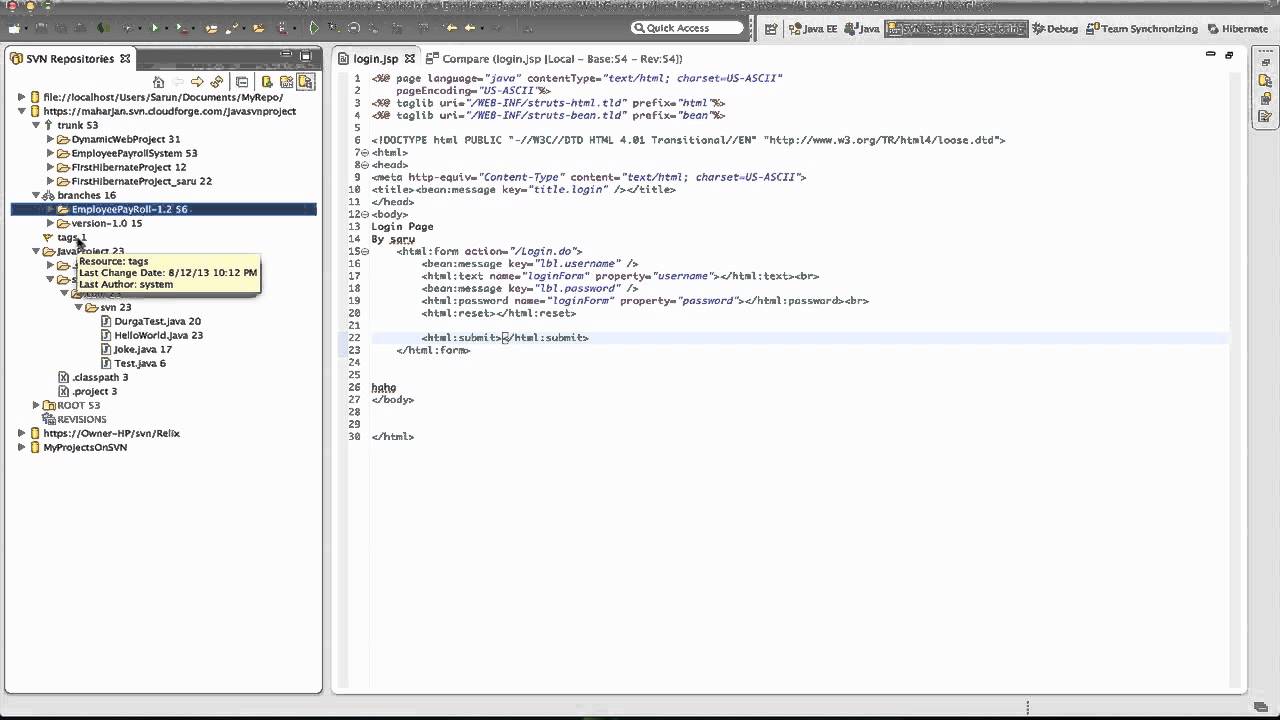 SVN Tutorial 2 - YouTube
