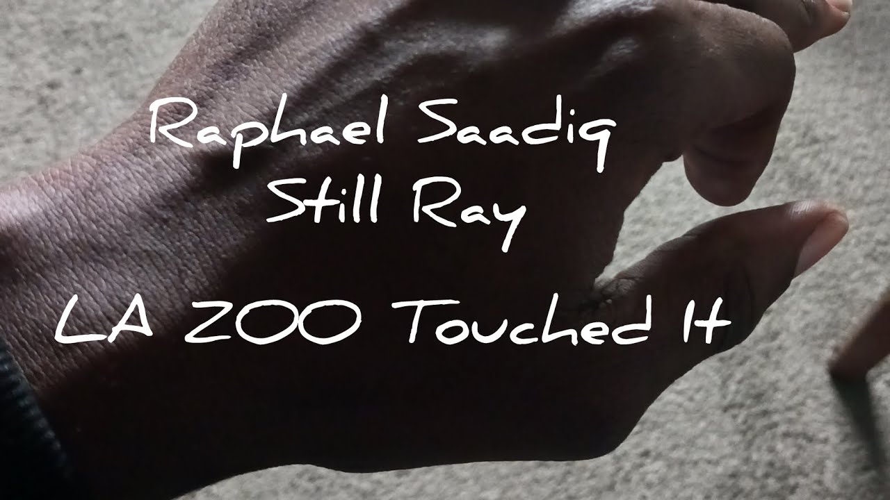 Raphael Saadiq - Still Ray - YouTube