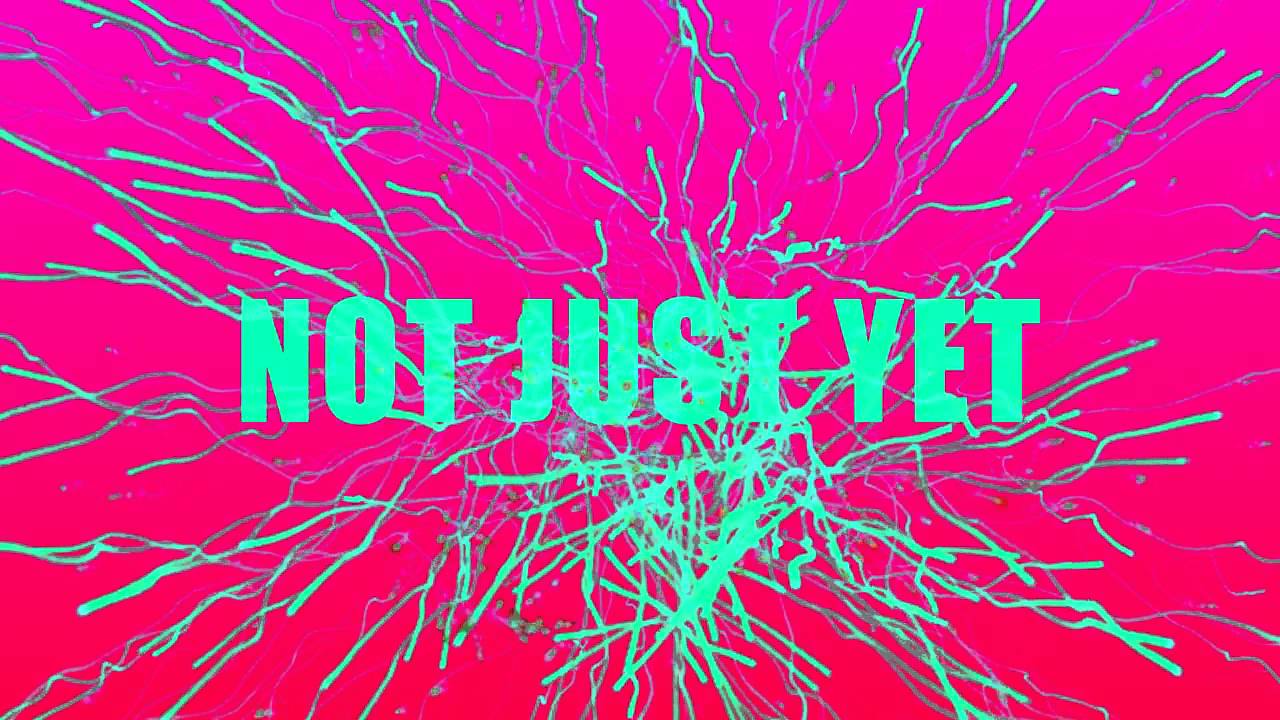Not Just Yet - YouTube Music