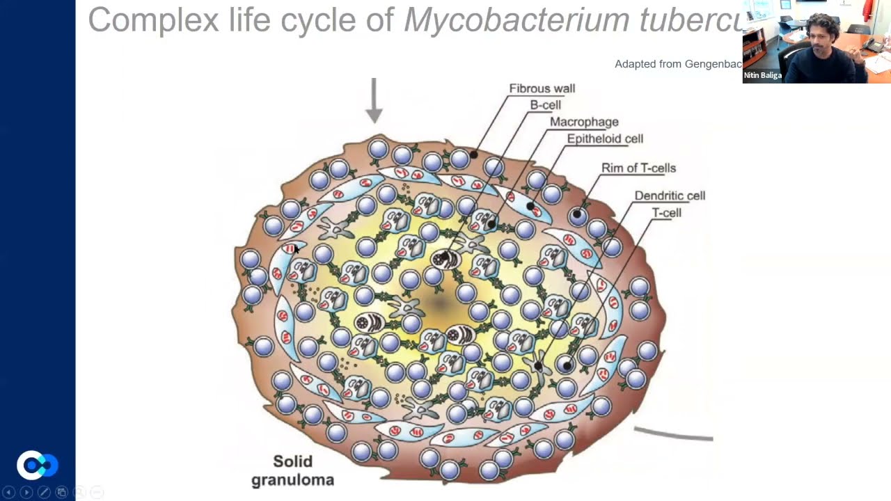 Dr. Nitin Baliga: Research Roundtable on Finding New Drugs for the ...