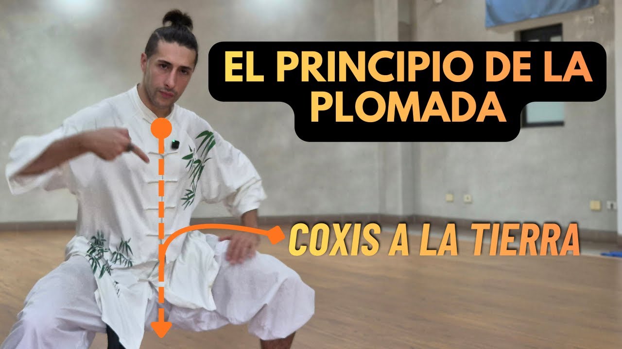 Postura Tai Chi para Principiantes | Aprende la LEY de la Plomada - YouTube
