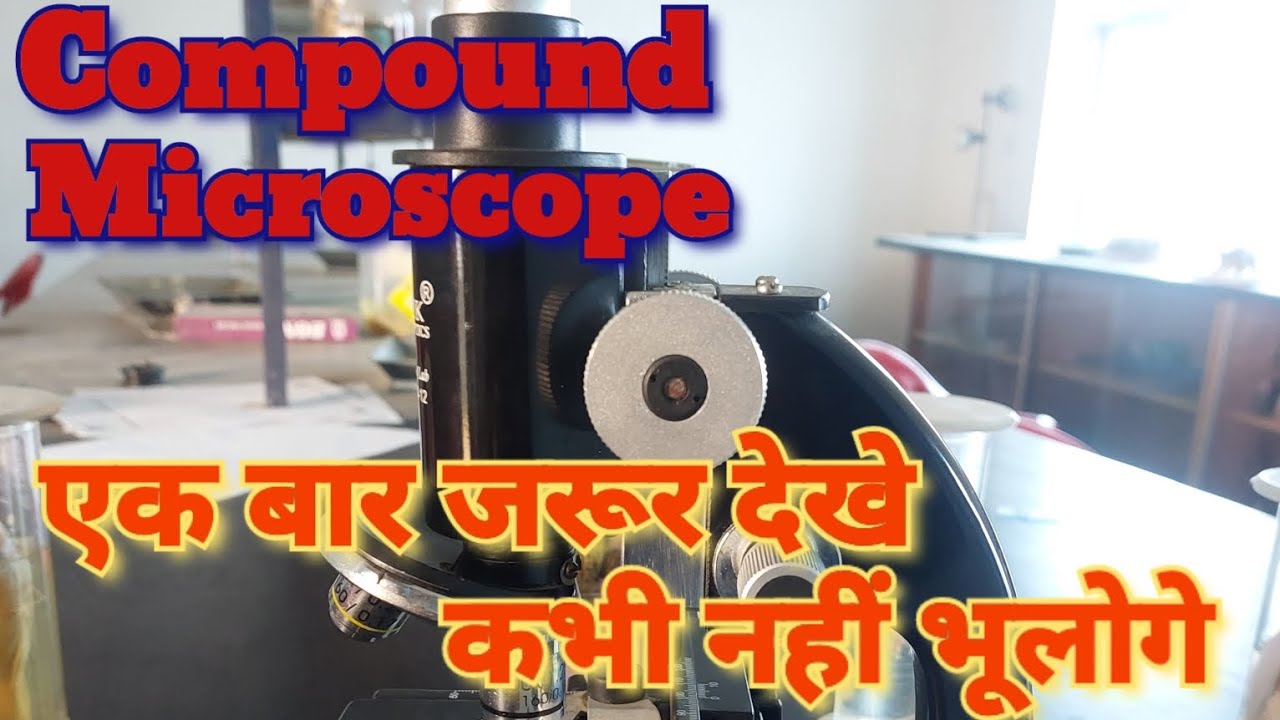 compound microscope|compound microscope parts and functions in hindi ...