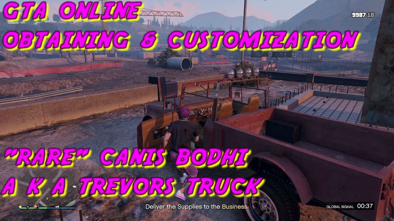 Obtaining process & customization of "RARE" Canis Bodhi - GTA Online - YouTube