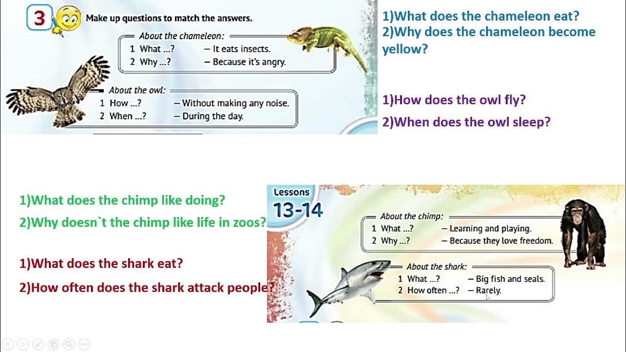 англ мова 4 кл карпюк unit 5 lessons 13, 14 - YouTube