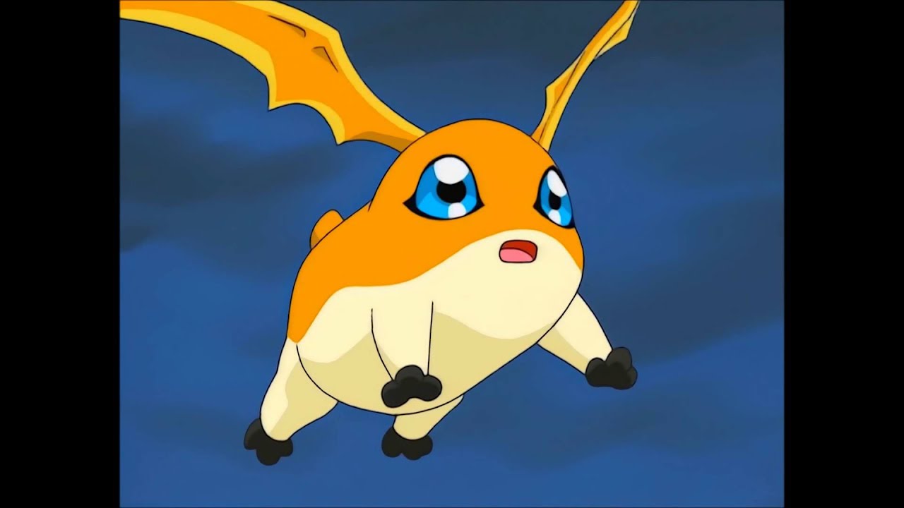 Patamon to the rescue - YouTube
