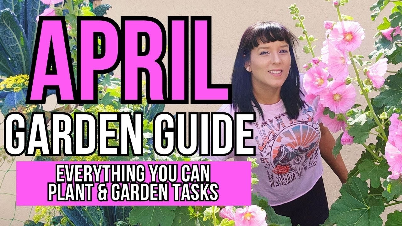 April Garden Guide: What to start from seed or transplant this month # ...
