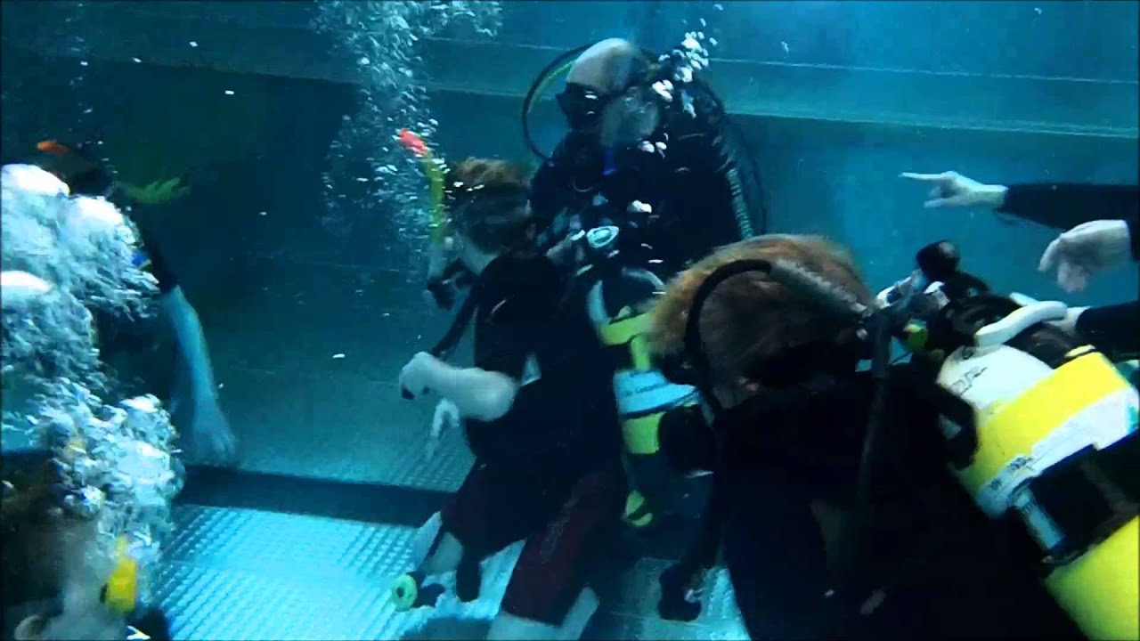 Scuba Diving - YouTube