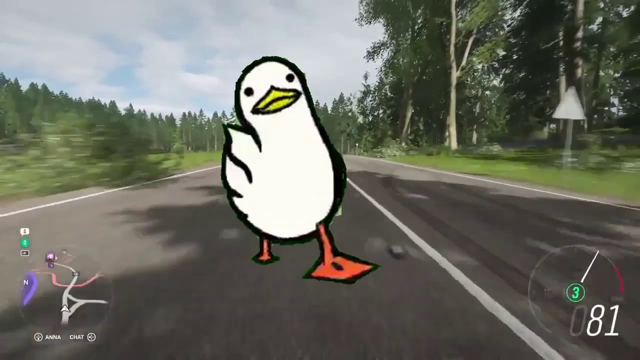 Pato caminando con Musica de Fondo - YouTube