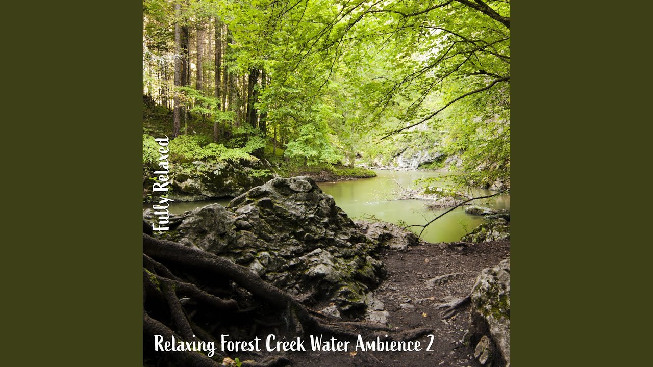 Relaxing Forest Creek Water Ambience, Pt. 1 - YouTube