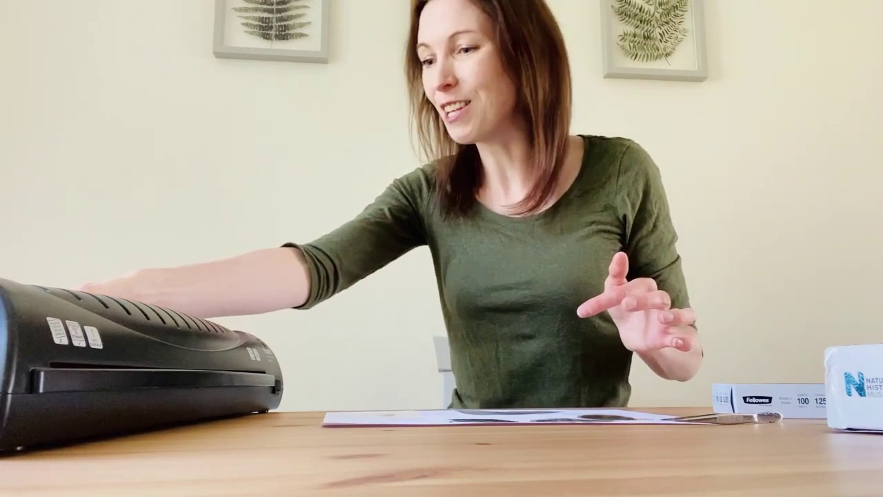 Simple laminated microscope slides for kids - YouTube