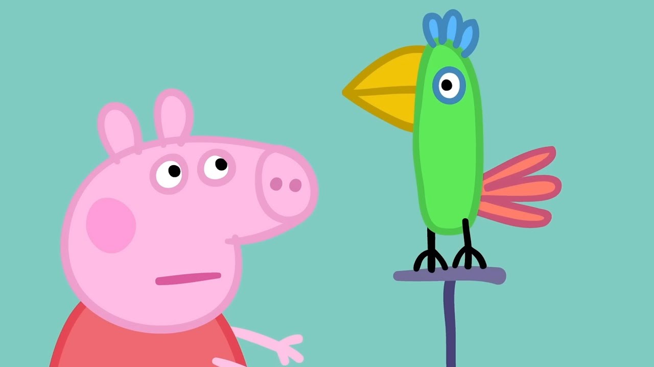 Heo Peppa | con vẹt ngốc nghếch | Phim Hoạt Hình Cho Trẻ Em - YouTube