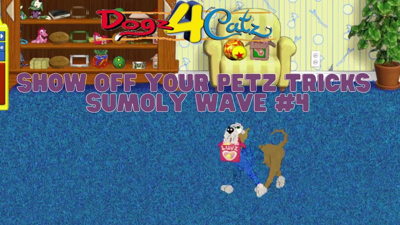 Duke Shows Off His Tricks - SumOly 2024 at Duke's Group - PF Magic Petz ...