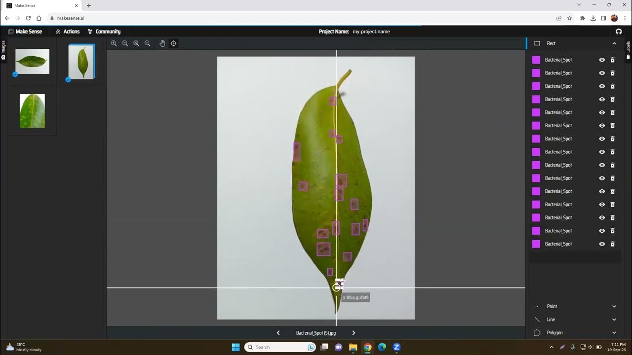 Yolo - Image Annotation Process. - YouTube