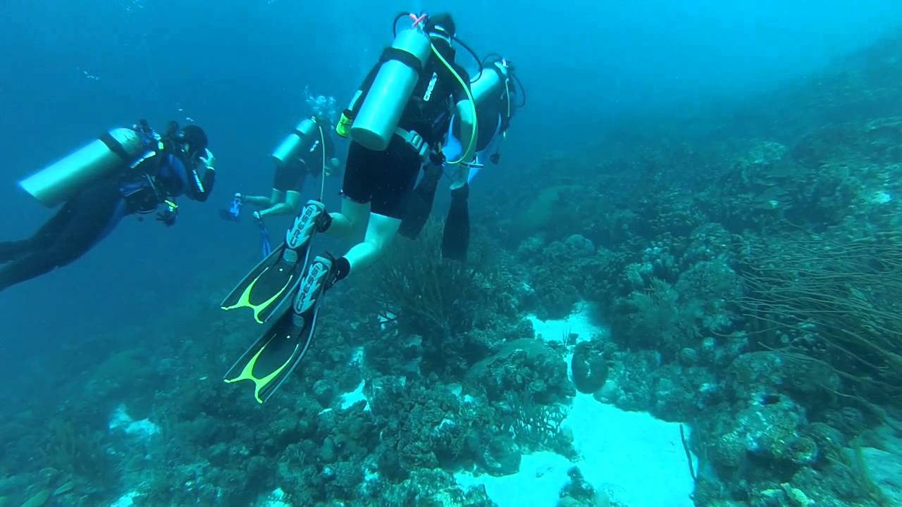 Curacao Mushroom Forest - YouTube