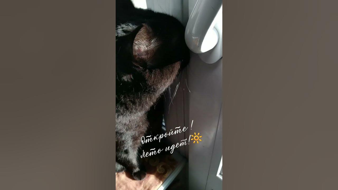 Лето идет! Откройте! #shorts #лето - YouTube