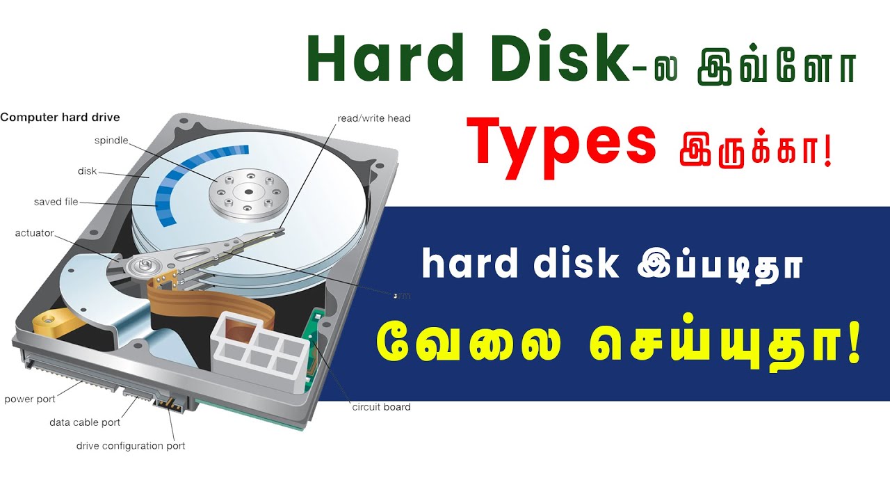 The Evolution of Hard Drives: Exploring HDD, SSD, and NVMe | TECH ...