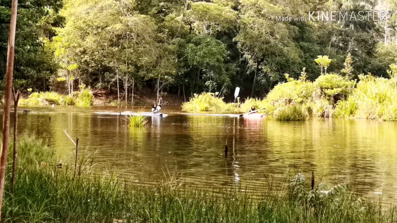 Champion TK2 Junior, Kayak Sprint Sungai Melaka 2019 - YouTube