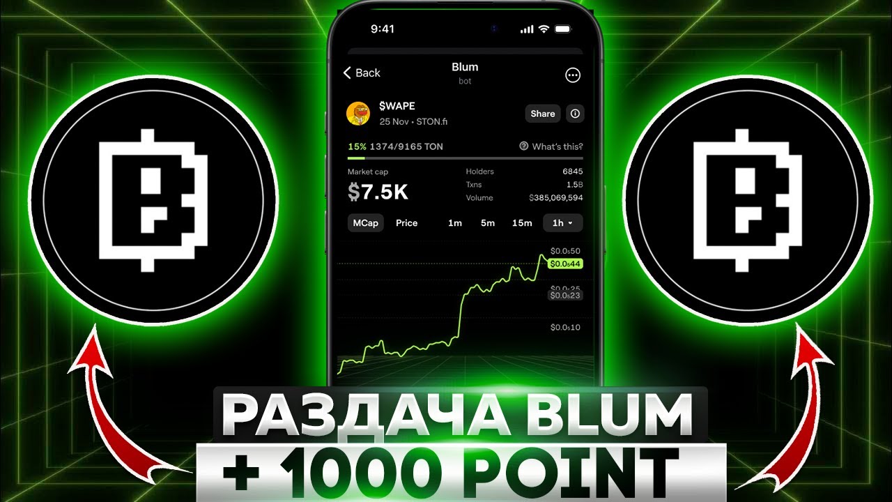 blum-1000-blum-point
