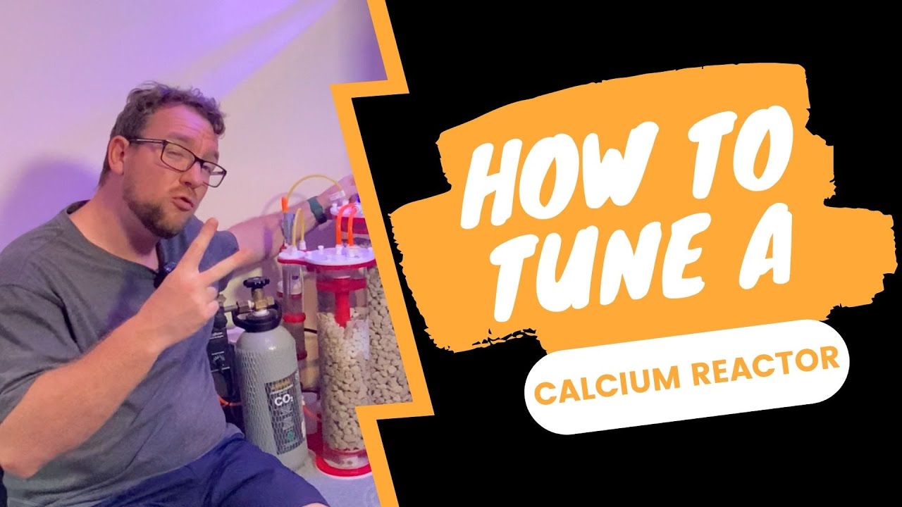 How to tune a calcium reactor (Part 2) - YouTube